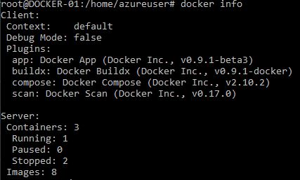Docker コンテナが実行されているかどうかを確認する | Delft スタック
